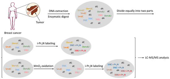 Ultrasensitive Simultaneous Detection of Multiple Rare Modified Nucleosides as Promising ...