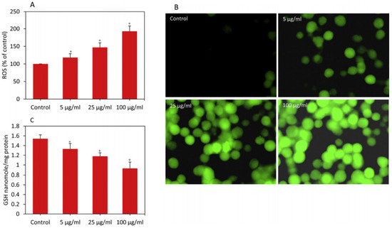 Recent Advances in Copper-Based Organic Complexes and Nanoparticles for ...