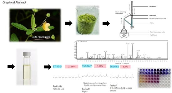 Molecules | Free Full-Text | Chemical Composition and In Vitro ...