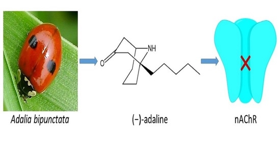 Molecules | Free Full-Text | (−)-Adaline from the Adalia Genus of ...