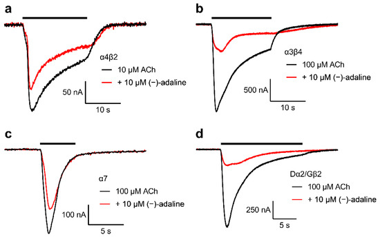 (−)-Adaline from the Adalia Genus of Ladybirds Is a Potent Antagonist ...
