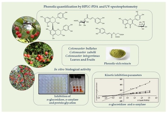Molecules | Free Full-Text | The Inhibition of α-Glucosidase, α-Amylase ...