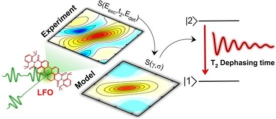 Molecules | Free Full-Text | Dephasing Processes in the Molecular Dye ...