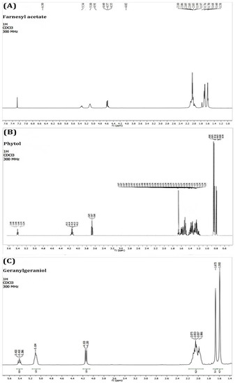 Understanding the Antilymphoma Activity of Annona macroprophyllata Donn ...