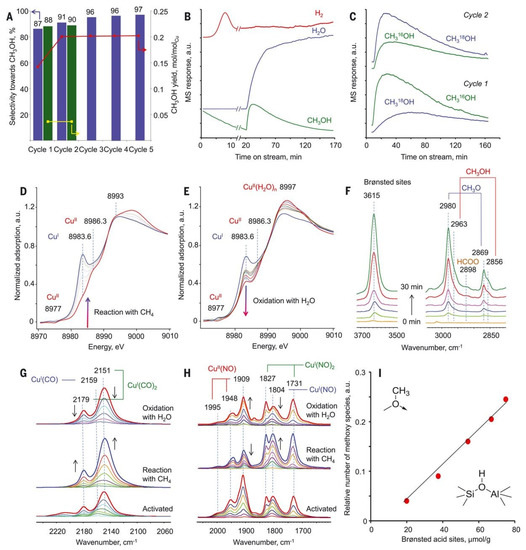 Recent Insights into Cu-Based Catalytic Sites for the Direct Conversion ...