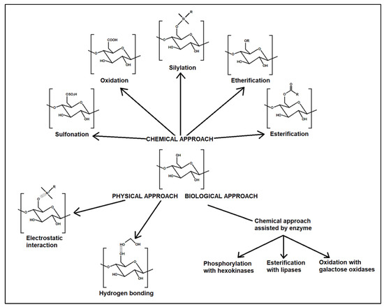 Review of Functional Aspects of Nanocellulose-Based Pickering ...