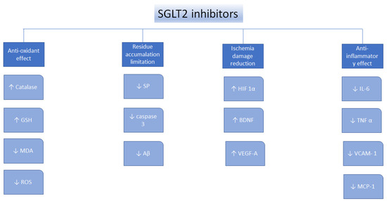 Repurposing SGLT2 Inhibitors for Neurological Disorders: A Focus on the ...