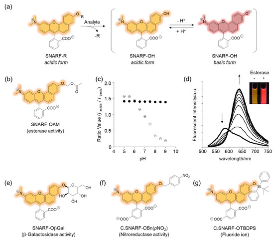 Stimuli-Responsible SNARF Derivatives as a Latent Ratiometric ...