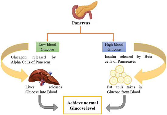 Molecules | Free Full-Text | Astounding Health Benefits of Jamun ...