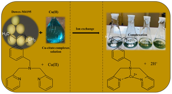 Characterization and Optimization of Polymeric Bispicolamine Chelating ...