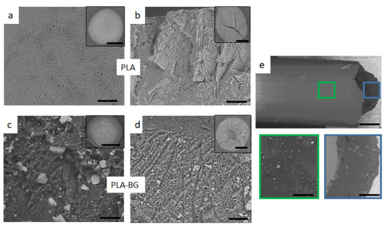 The Design of 3D-Printed Polylactic Acid–Bioglass Composite Scaffold: A ...
