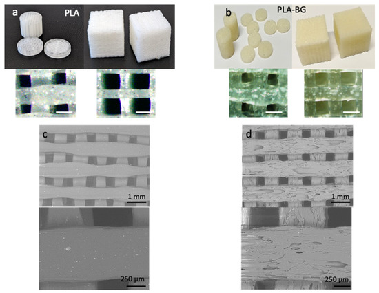 The Design of 3D-Printed Polylactic Acid–Bioglass Composite Scaffold: A ...