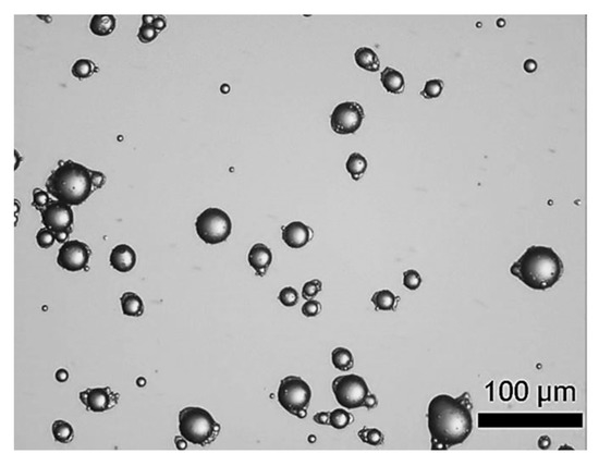 Microplastic-Free Microcapsules to Encapsulate Health-Promoting ...