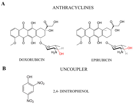 2,4-Dinitrophenol as an Uncoupler Augments the Anthracyclines Toxicity ...