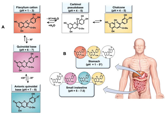 Anthocyanins Formulated with Carboxymethyl Starch for Gastric and ...