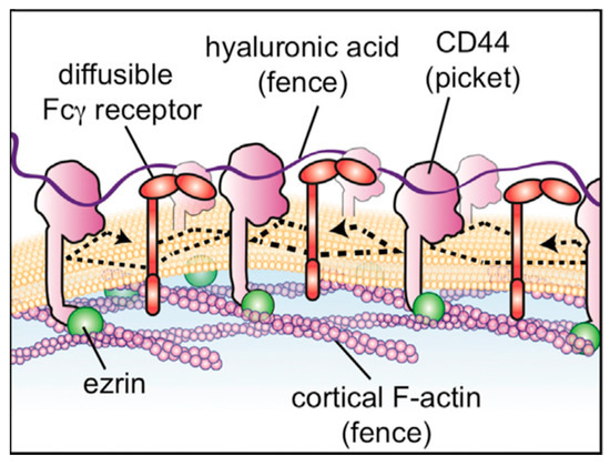 Molecules | Free Full-Text | Atomic-Resolution Experimental Structural ...