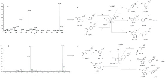 The Analytical Strategy of “Ion Induction and Deduction Based on Net ...