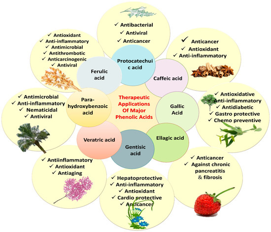 Anticancer, Cardio-Protective and Anti-Inflammatory Potential of ...