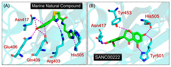 Ultra-Large-Scale Screening of Natural Compounds and Free Energy ...
