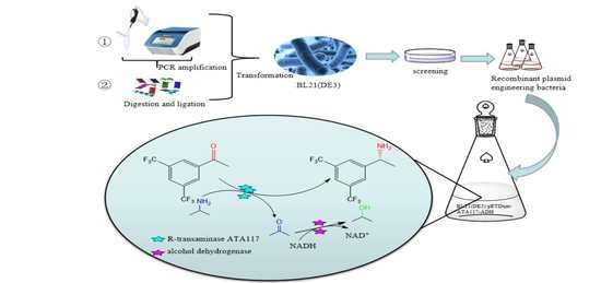 Molecules | Free Full-Text | Efficient Synthesis of Key Chiral Intermediate in Painkillers (R)-1 ...