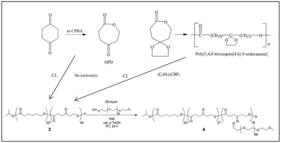 Polyε Caprolactone Based Graft Copolymers Synthesis Methods And Applications In The