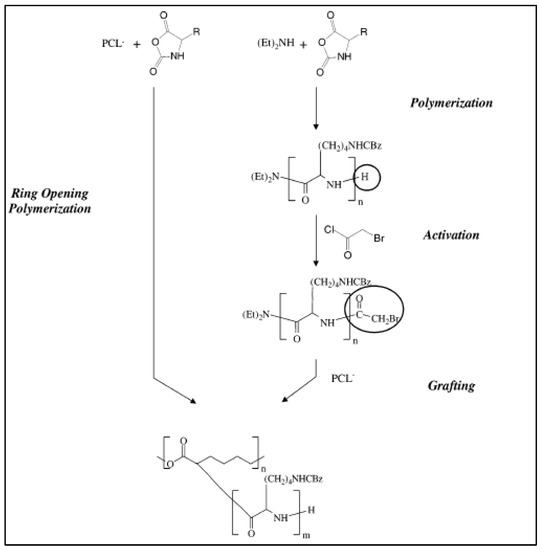 Poly(ε-caprolactone)-Based Graft Copolymers: Synthesis Methods and Applications in the ...
