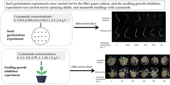 Molecules | Free Full-Text | Allelopathic Toxicity of Cyanamide Could ...