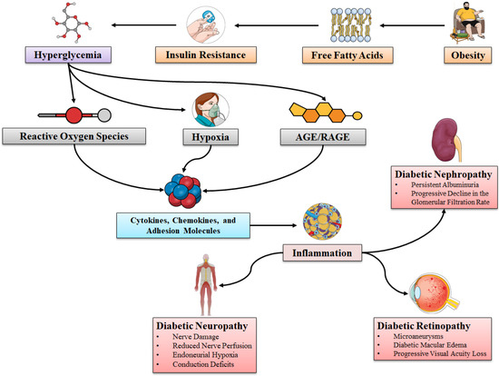 Molecules | Free Full-Text | Potential Roles of Anti-Inflammatory Plant-Derived Bioactive ...