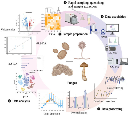 Molecules Free Full Text Application Of Metabolomics In Fungal Research