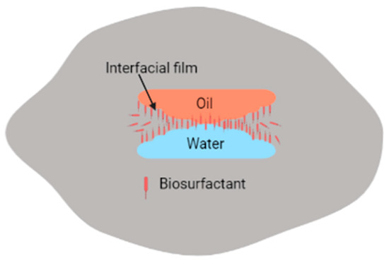 The Role of pH, Electrodes, Surfactants, and Electrolytes in ...