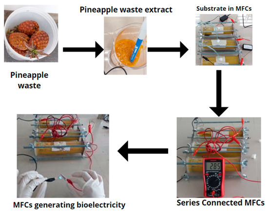 Use of Pineapple Waste as Fuel in Microbial Fuel Cell for the ...