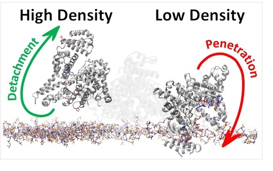 Molecules | Free Full-Text | Distinct Antifouling Mechanisms on ...