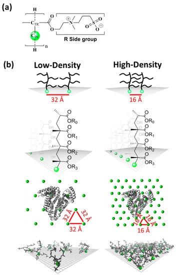 Distinct Antifouling Mechanisms on Different Chain Densities of ...