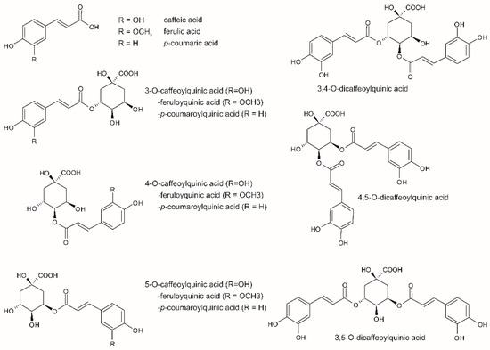 Targeted and Non-Targeted HPLC Analysis of Coffee-Based Products as ...
