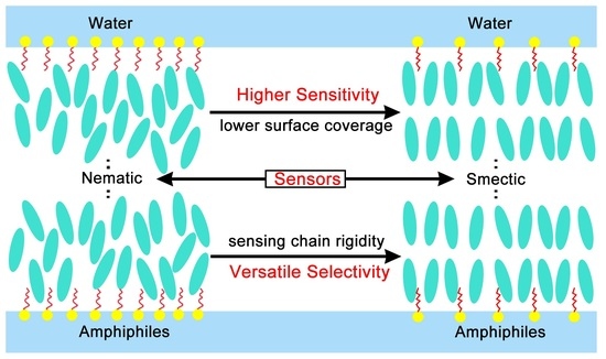 Molecules Free Full Text Dissipative Particle Dynamics Simulation Of The Sensitive Anchoring