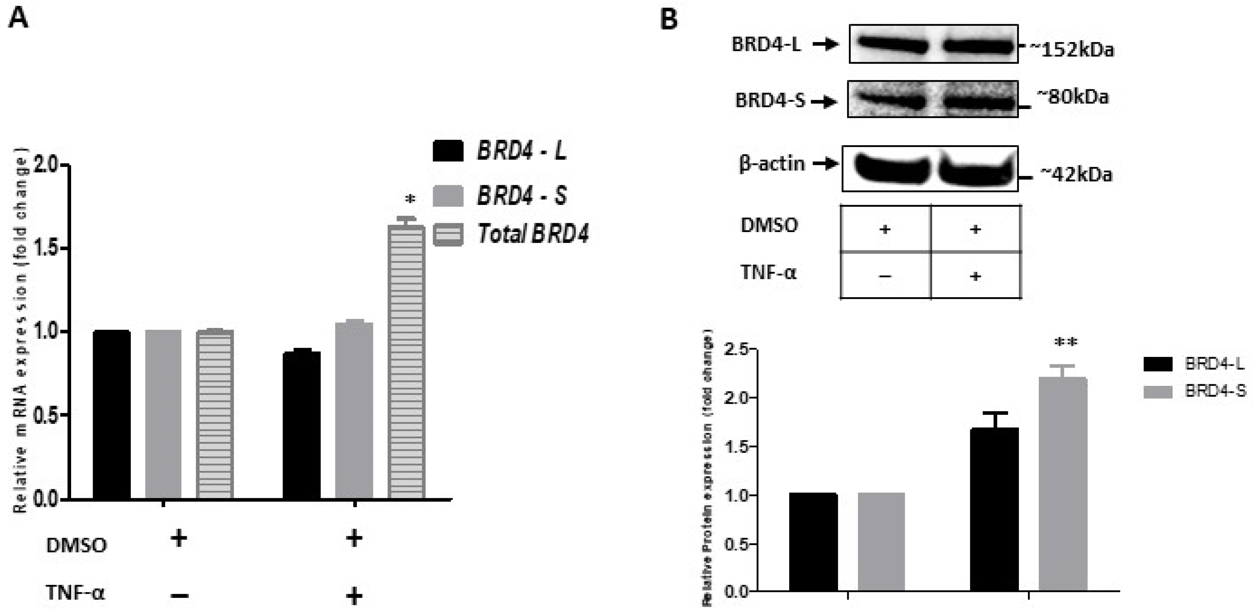 Molecules | Free Full-Text | Small Molecule BRD4 Inhibitors Apabetalone and JQ1 Rescues ...