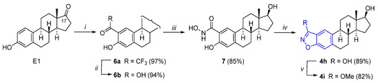 Substitutional Diversity-Oriented Synthesis and In Vitro Anticancer ...