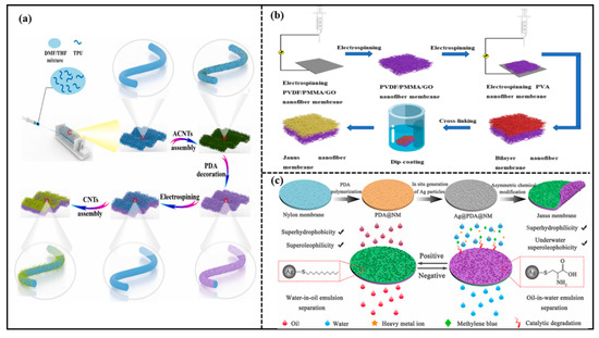 Advances in Asymmetric Wettable Janus Materials for Oil–Water Separation