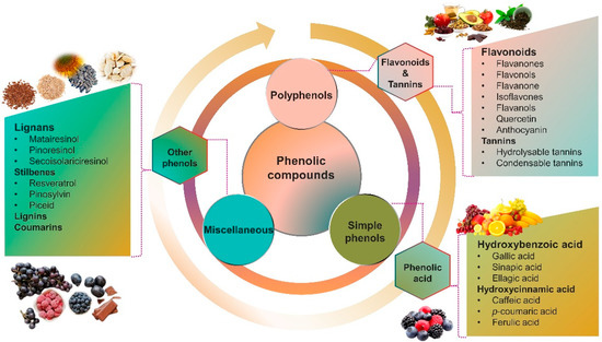 Phenolic Compounds in Active Packaging and Edible Films/Coatings ...