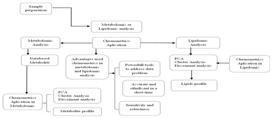 Molecules | Free Full-Text | The Application of Chemometrics in ...