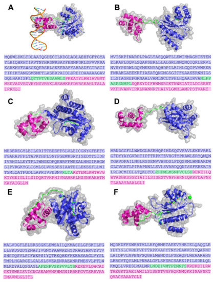 Molecules | Free Full-Text | Molecular Mechanisms and Applications of N-Acyl Homoserine Lactone ...