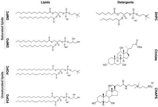 Expanding the Toolbox for Bicelle-Forming Surfactant–Lipid Mixtures