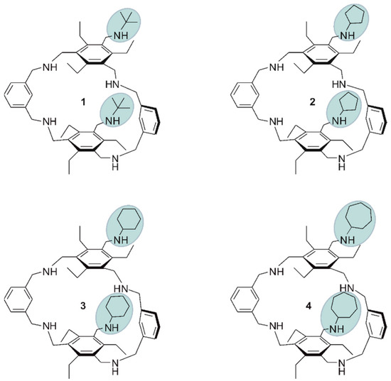 Cycloalkyl Groups as Building Blocks of Artificial Carbohydrate ...
