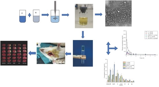 Molecules | Free Full-Text | Preparation, In Vitro and In Vivo Evaluation of Nanoemulsion In ...