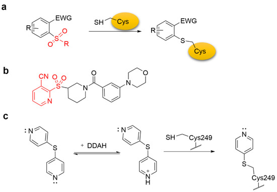 Covalent Warheads Targeting Cysteine Residue: The Promising Approach in ...
