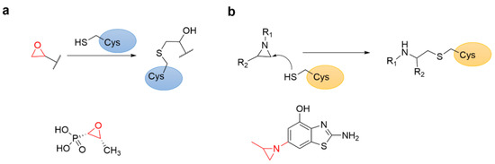 Covalent Warheads Targeting Cysteine Residue: The Promising Approach in ...