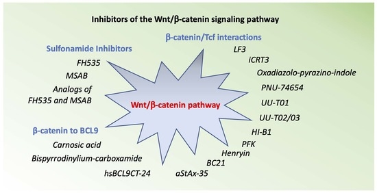 Molecules | Free Full-Text | Emerging Direct Targeting β-Catenin Agents
