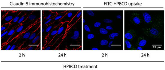 Effects of Hydroxypropyl-Beta-Cyclodextrin on Cultured Brain ...