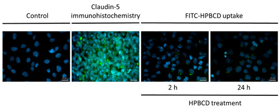 Effects of Hydroxypropyl-Beta-Cyclodextrin on Cultured Brain ...