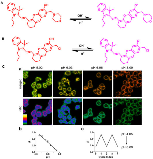 Activity-Based Fluorescent Probes Based on Hemicyanine for Biomedical ...